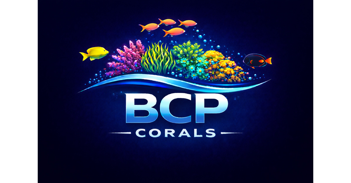 Live Corals for Sale | SPS, LPS & Zoas – BCP Corals Ohio